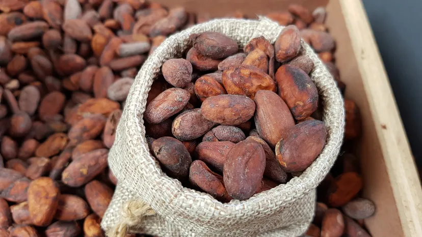 Cocoa price forecast | Cocoa market outlook 2026 and beyond | Capital ...