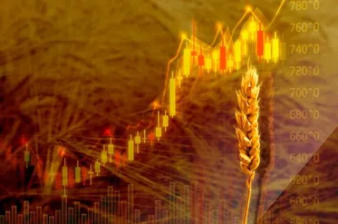 Commodities CFD Trading | Commodity Live Prices Today | Capital.com