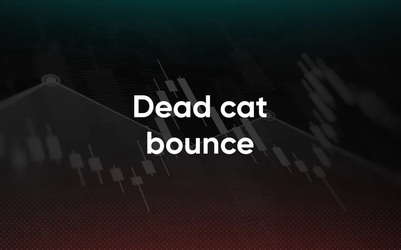 What Is a Dead Cat Bounce? | Capital.com